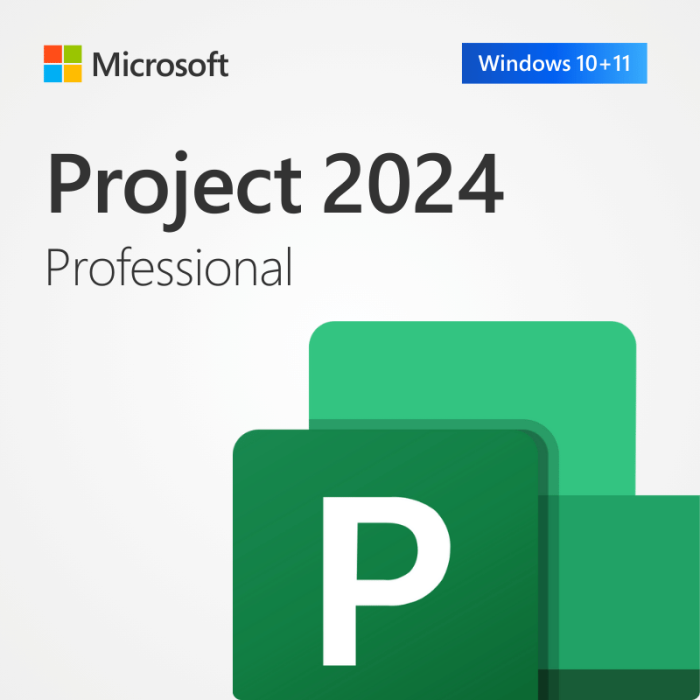 Project Professional 2024 - Casa de las licencias